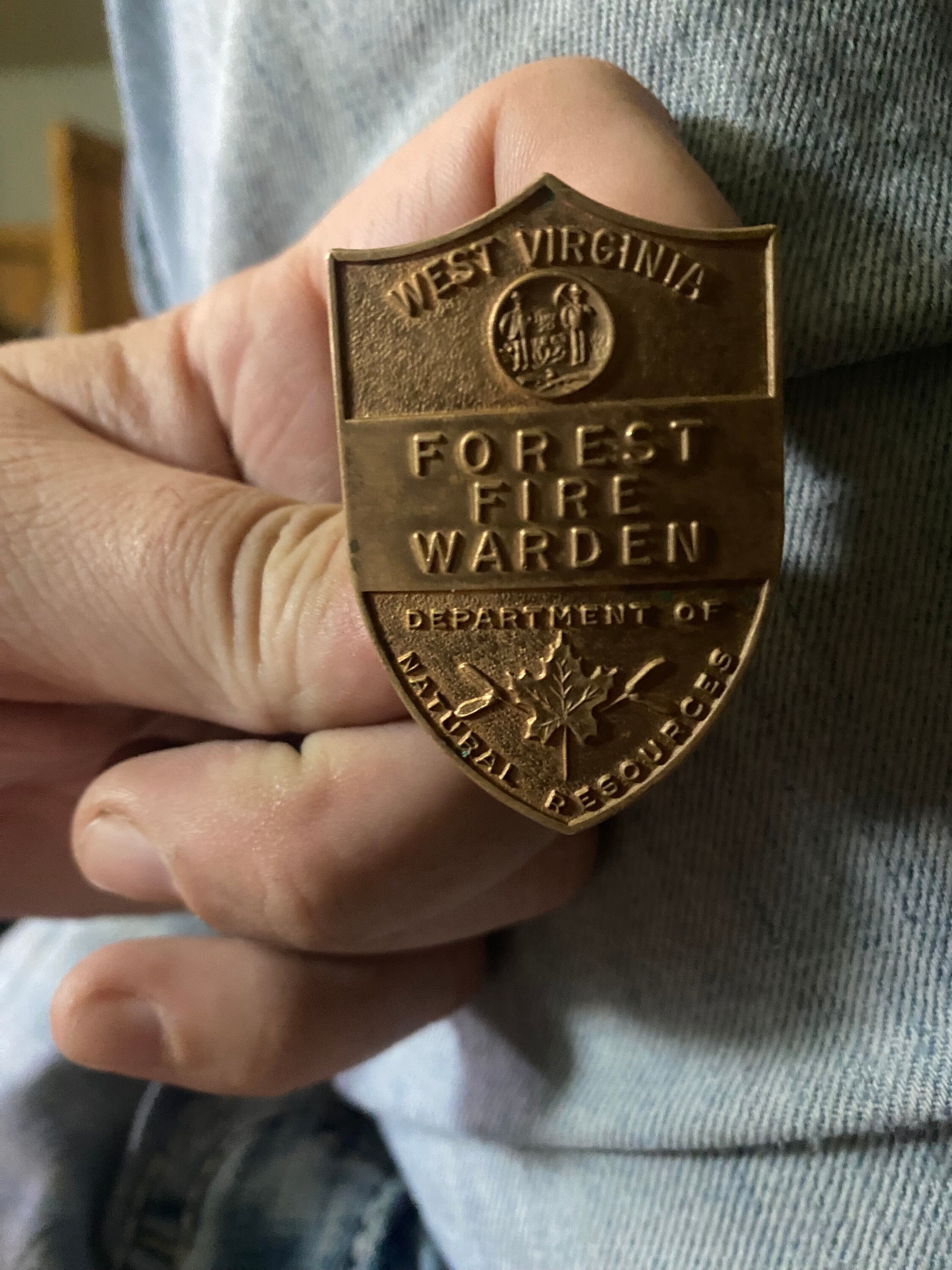 1960s Wv Forest Fire Warden Badge - Etsy
