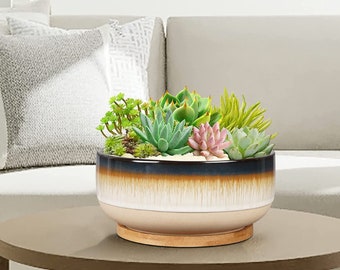Large Shallow Planter - Etsy