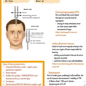 ENT Ears Nose and Throat Study Guide - Etsy
