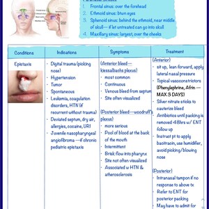 ENT Ears Nose and Throat Study Guide - Etsy
