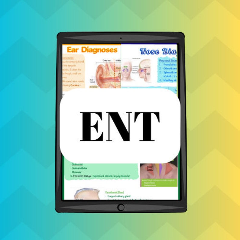 ENT - Ears, Nose and Throat Study Guide - Etsy
