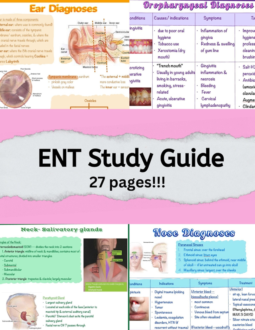 ENT Ears Nose and Throat Study Guide - Etsy