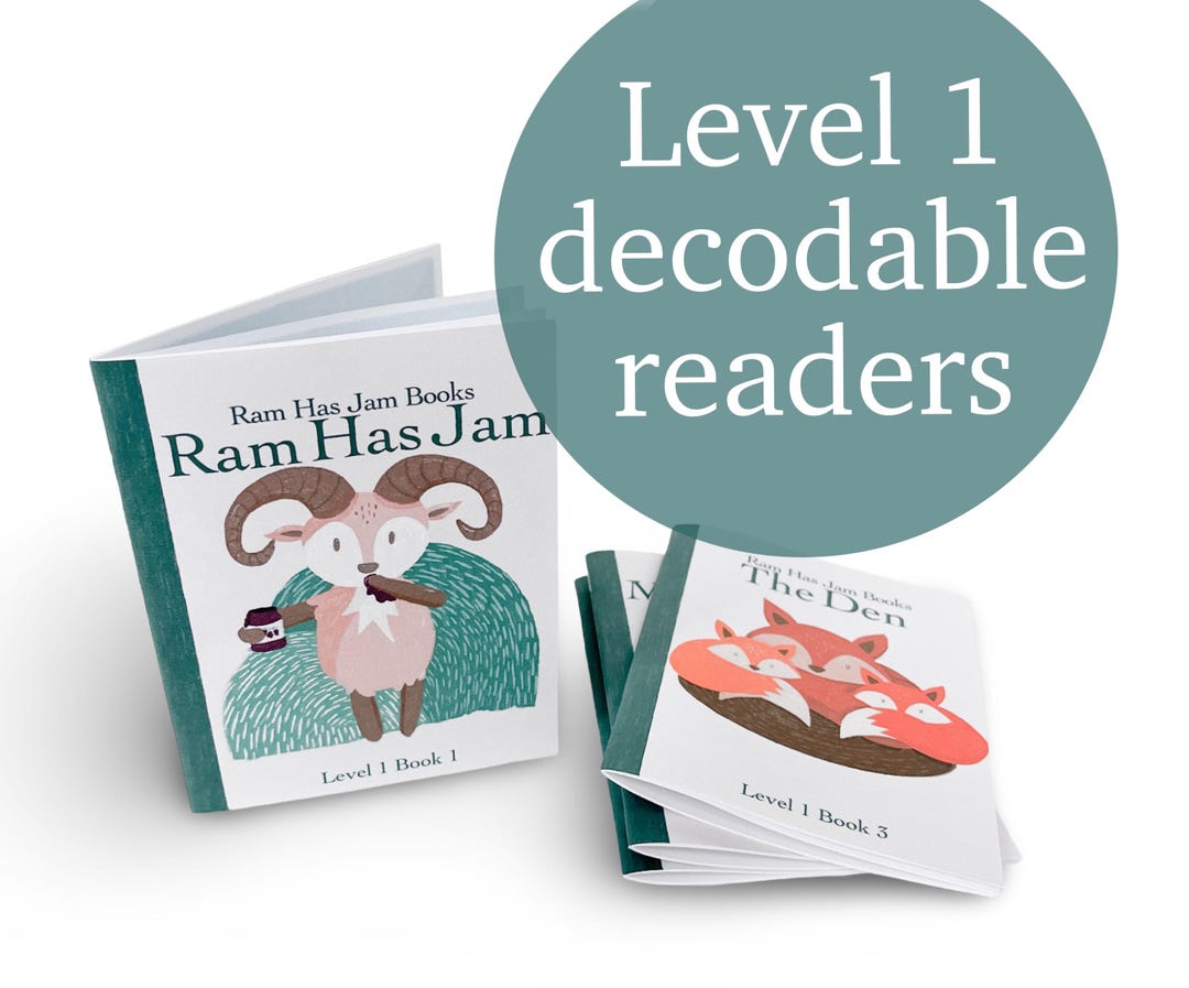 Set 2 Level 1 Decodable Reading Practice Phonetic Based Early Reader ...