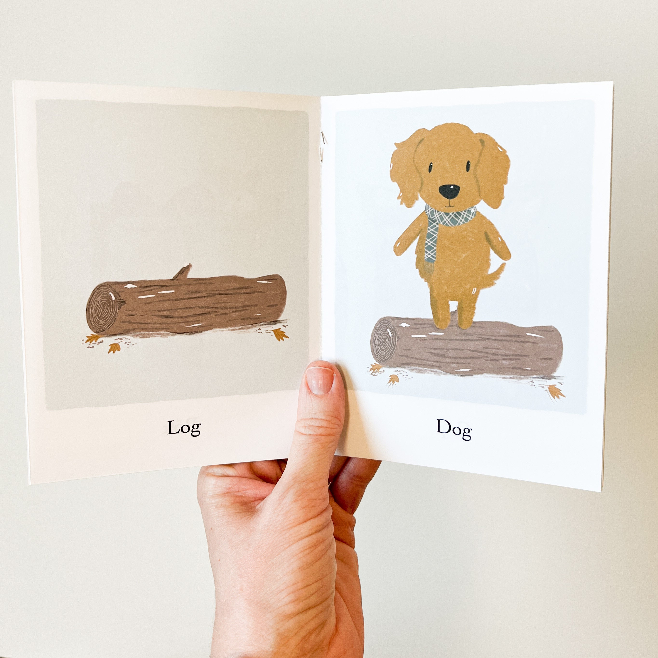 Set 1 ABC Alphabet Home Scool Learning to Read Books Pre-reader Ram Has ...