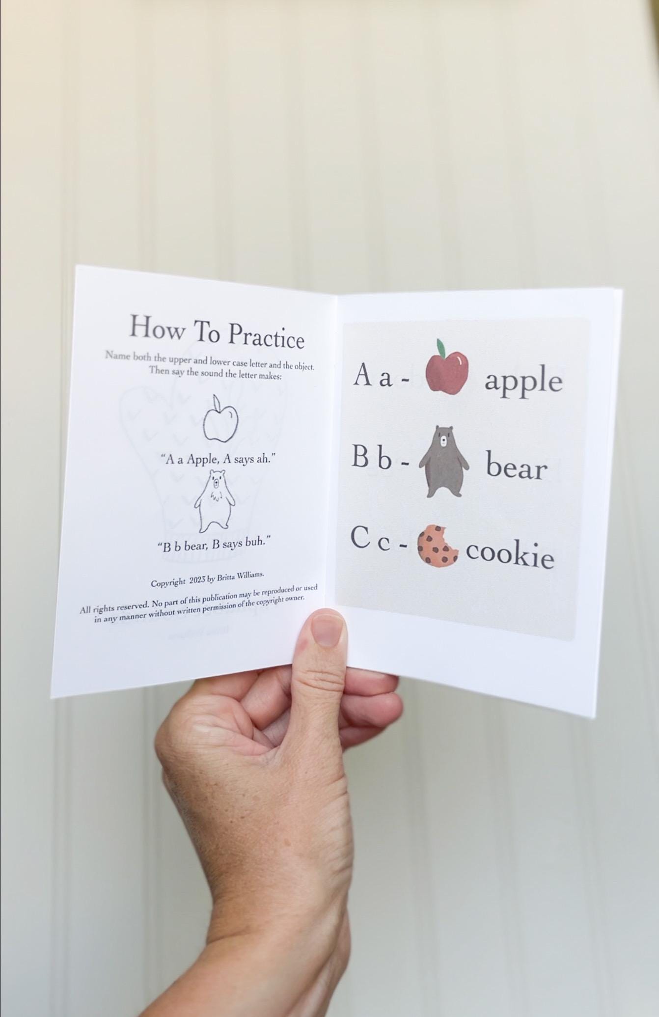 Pre-reader Book Set: Beginner Alphabet Sounds, Homeschool Learning - Etsy