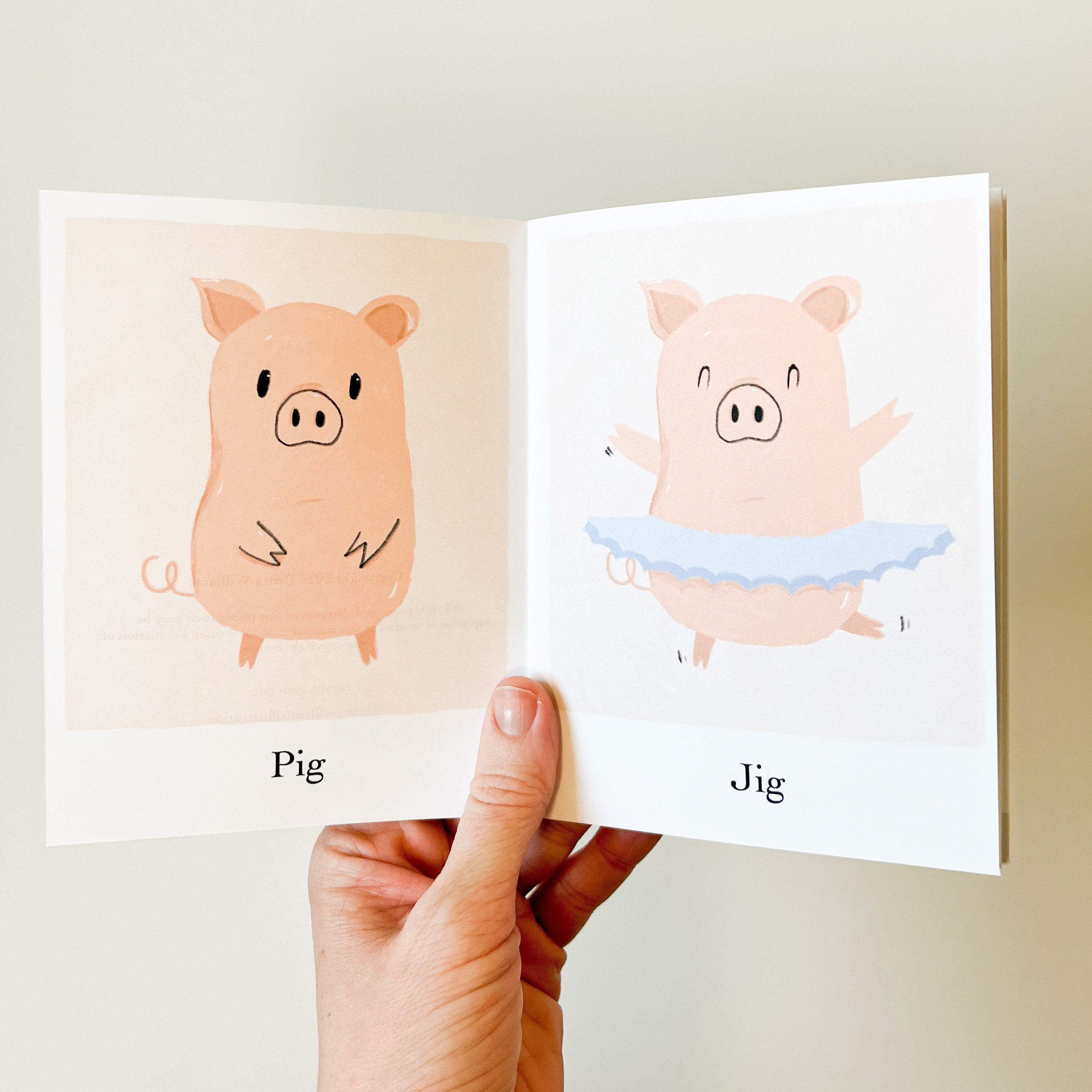 Set 1 ABC Alphabet Home Scool Learning to Read Books Pre-reader Ram Has Jam Book Set Letter ...