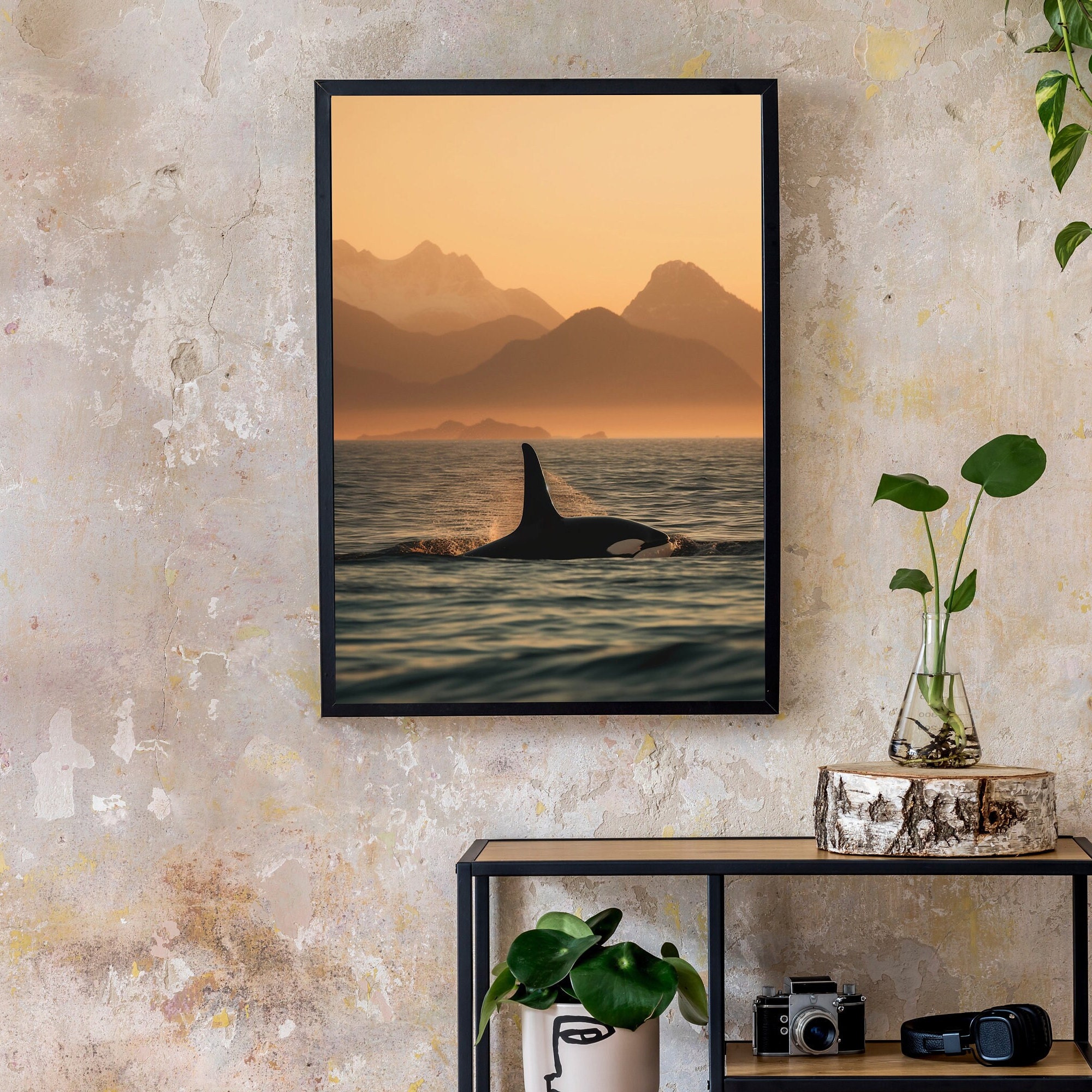 Orca Whale Poster, Printable Digital Download, Whale Art, Ocean Animal ...