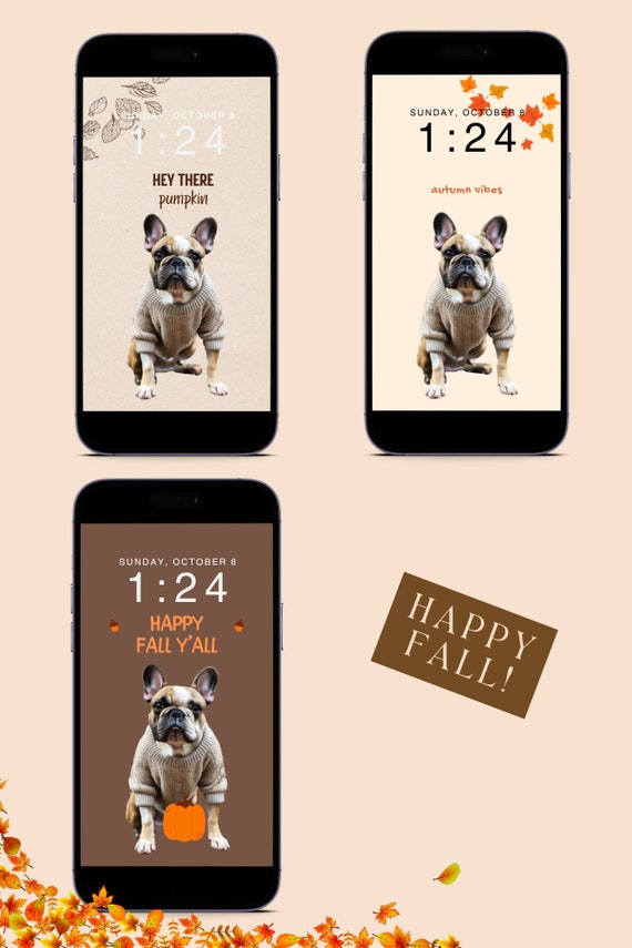 Bulldog Iphone Wallpaper
