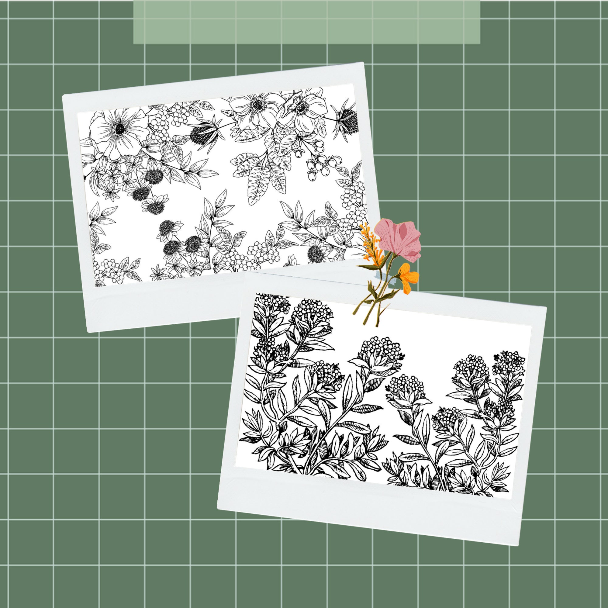 40 Floral Coloring Pages Coloring Activity for Adults and Kids Family ...