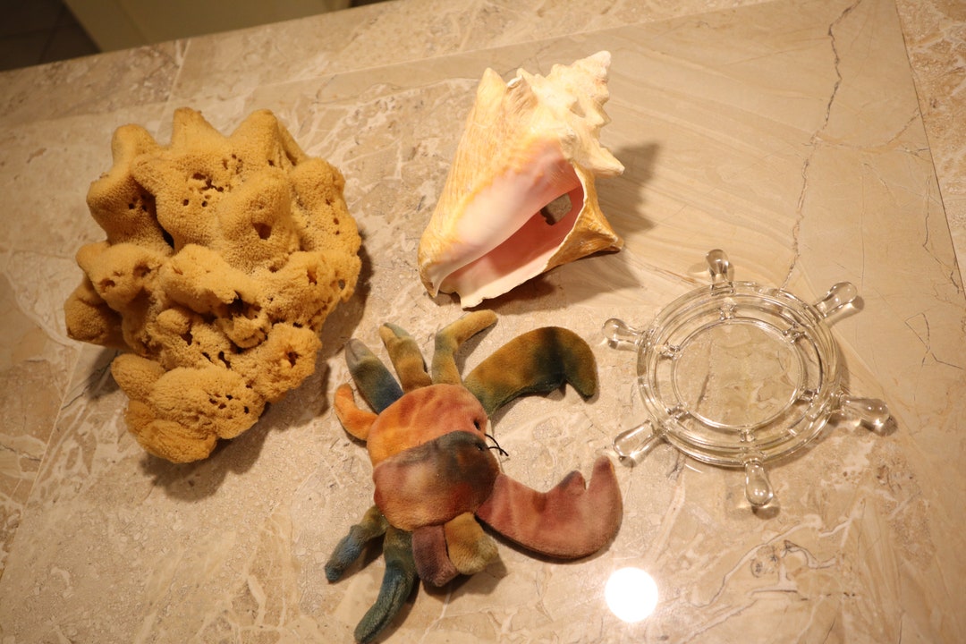 4 Piece Vintage Coastal Nautical Decor Lot, Sponge, Conch Shell, Crab ...
