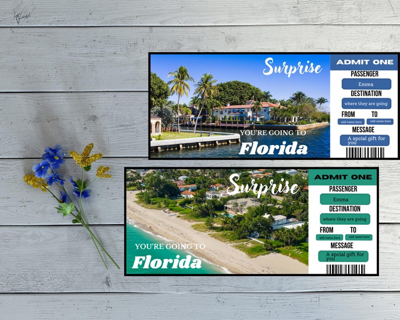 Florida Surprise Trip Ticket Template, Florida Surprise Ticket, You’re ...