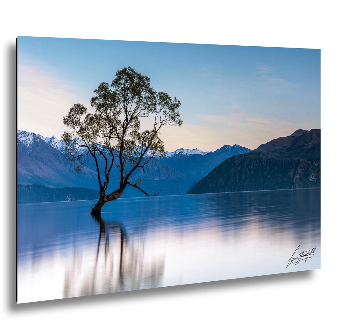 That Wanaka Tree Print: New Zealand Lake Photo Art - Etsy