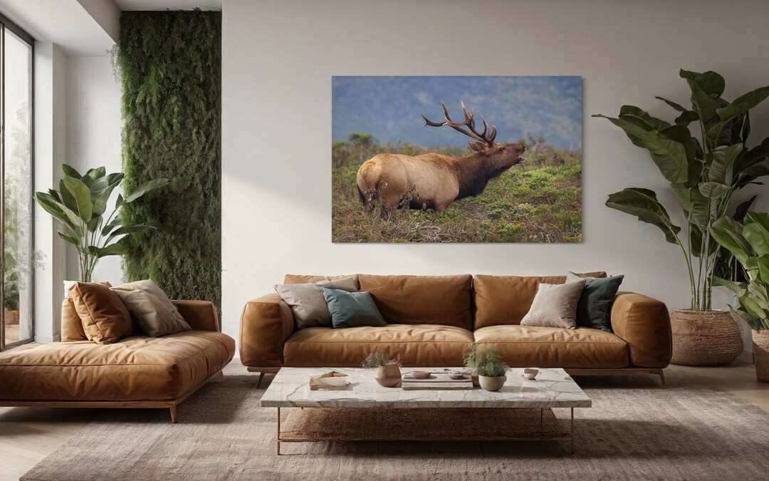 Elk Photography Print, Bull Elk Wall Decor, Wildlife Art, Nature Lover ...