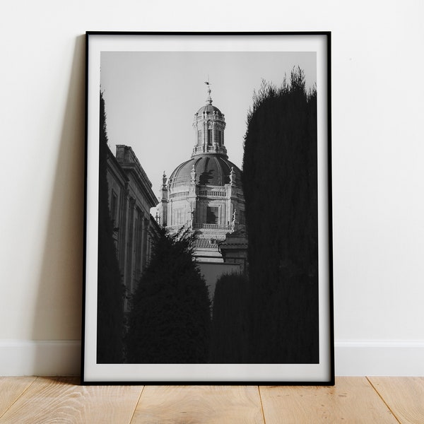 Monochromatic Photo - Etsy