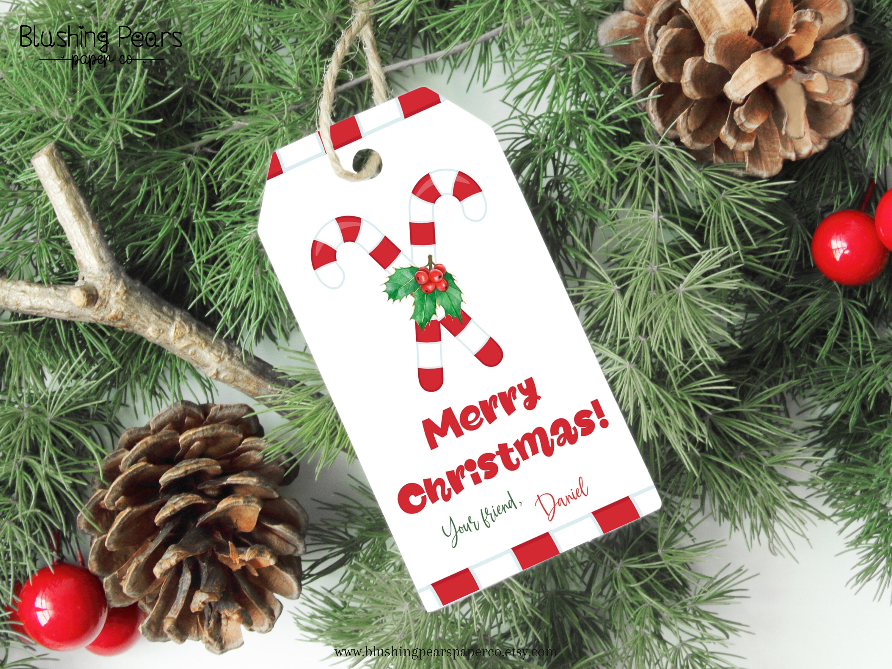 Christmas Gift Tag Template, Printable Santa Candy Cane Holiday Treat Bag Tags, Kids School ...