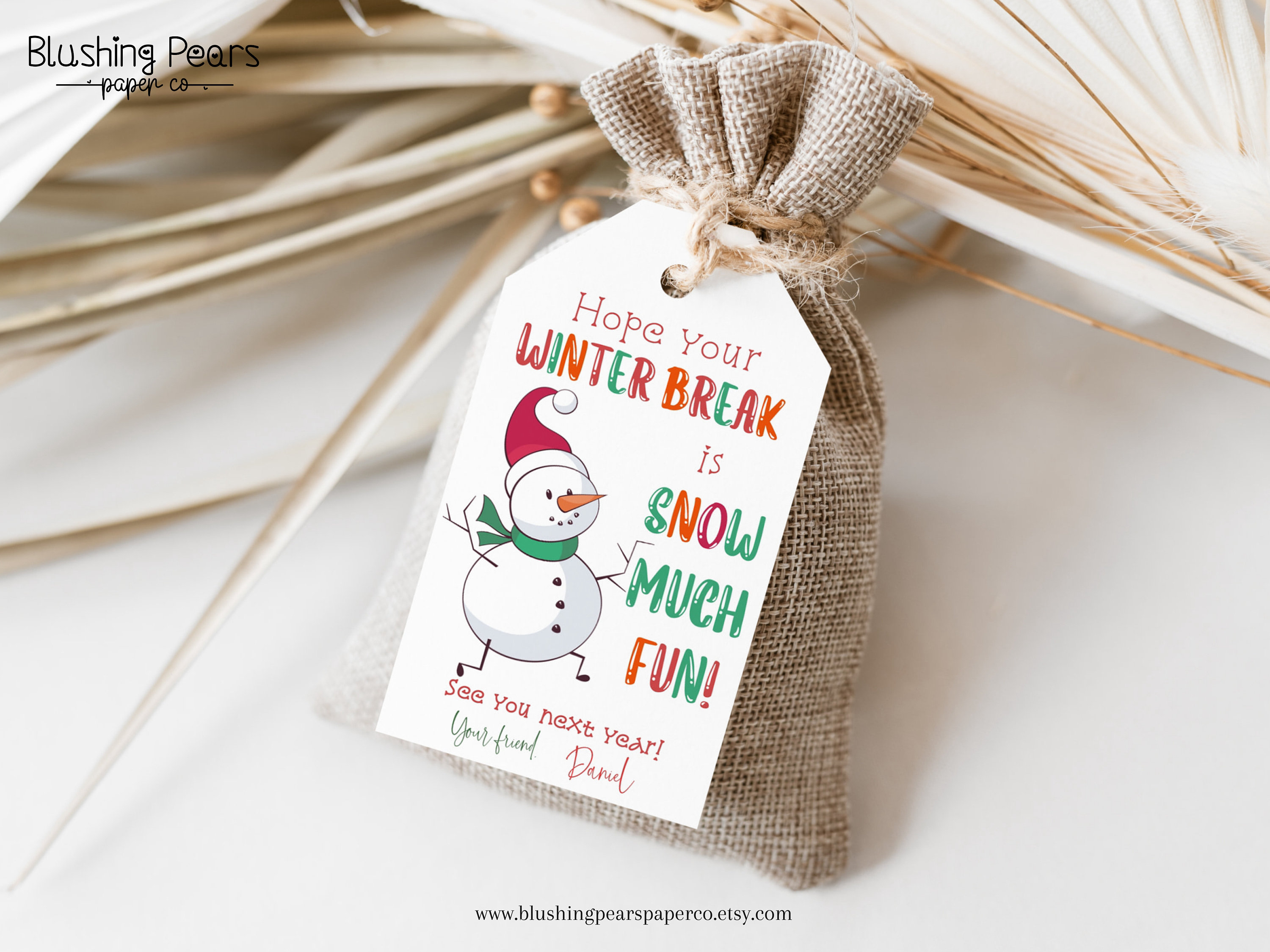 Christmas Gift Tag Template, Printable Kids Snowman Holiday Treat Bag Tags, Snow Much Fun ...