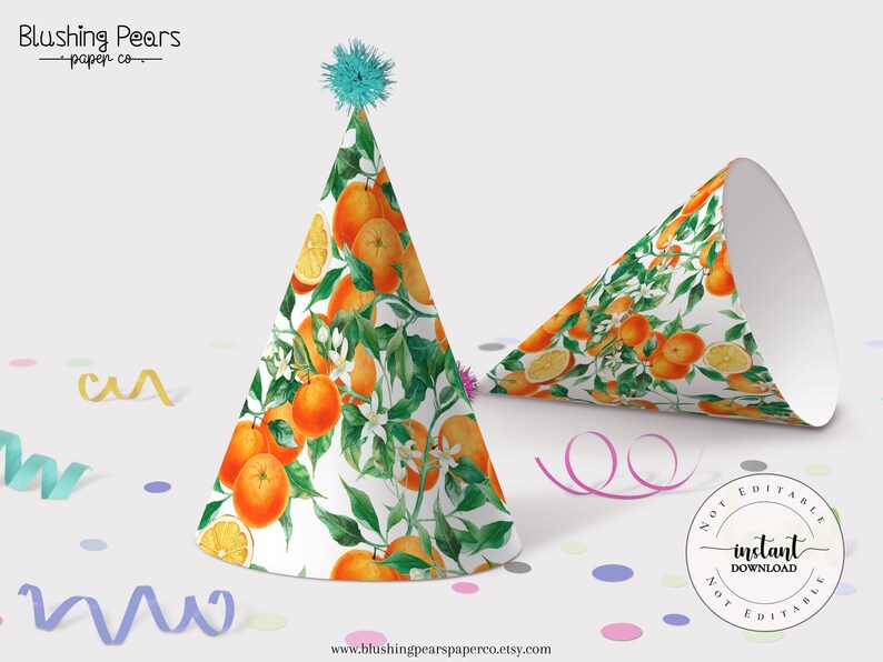 Citrus Birthday Party Hat, Kids Cone Hats Template, Oranges Fruits ...