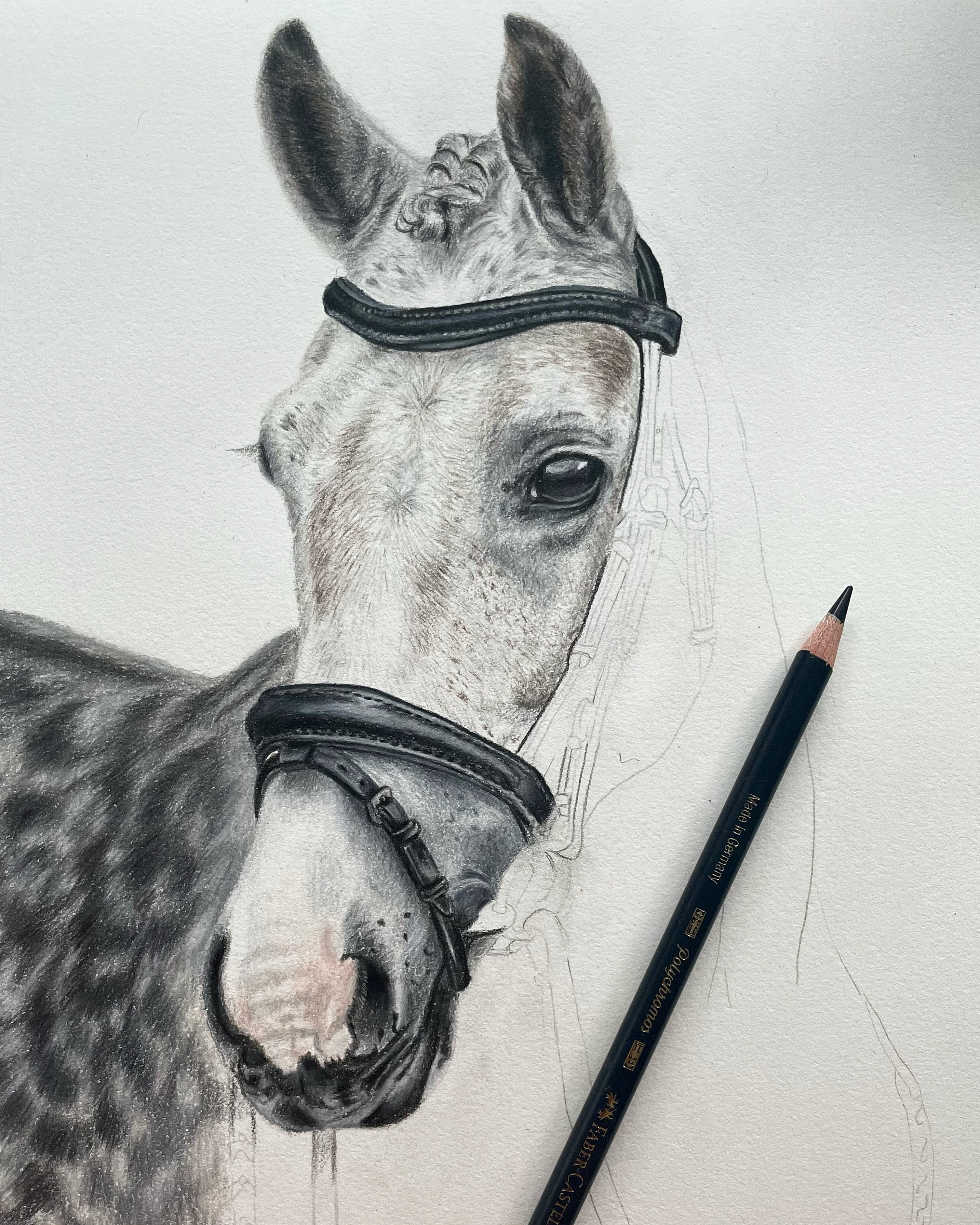 Custom Horse Portrait, Realistic Art, Custom Equine Artwork ...