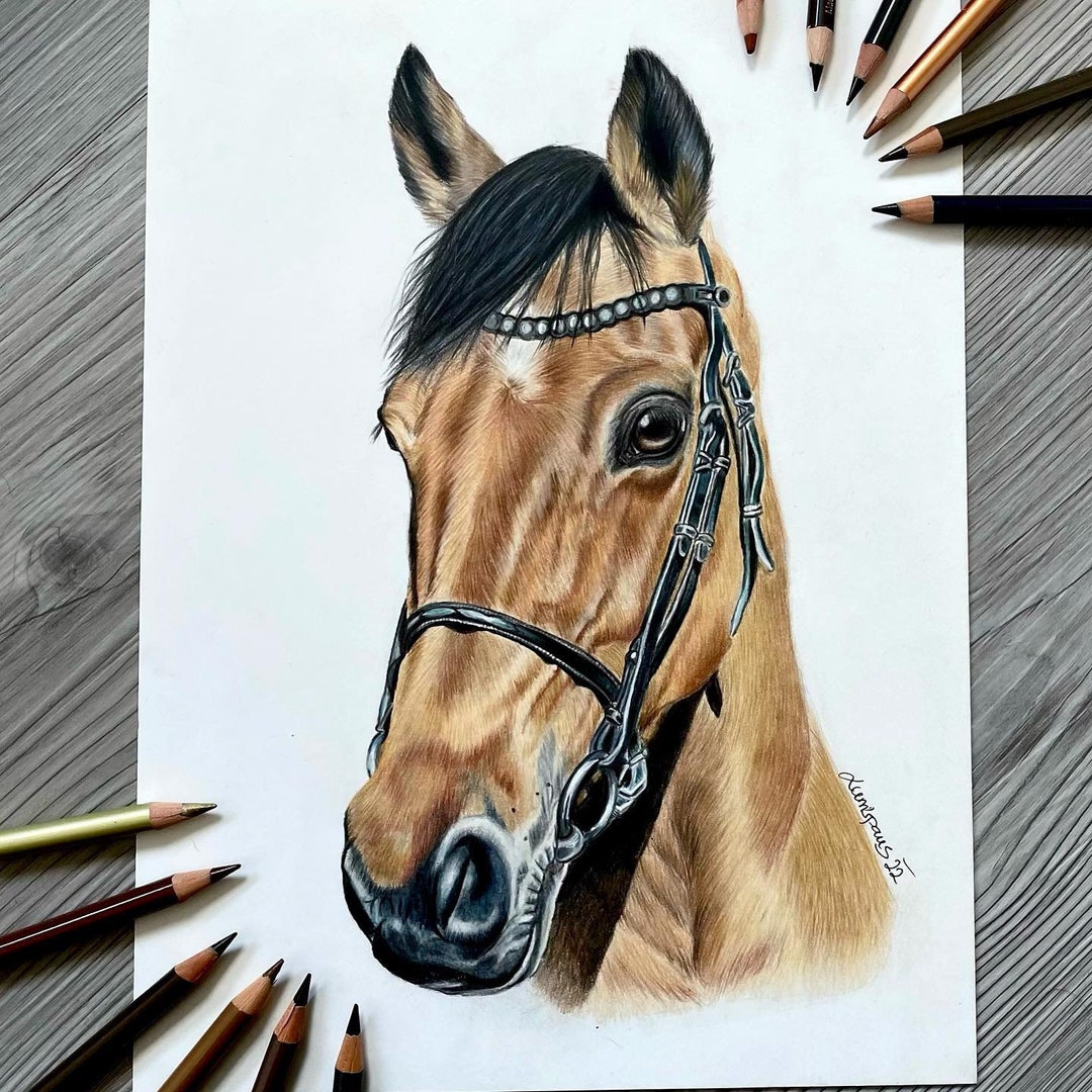 Custom Horse Portrait, Realistic Art, Custom Equine Artwork ...