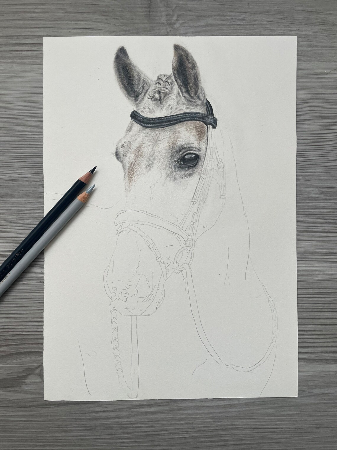 Custom Horse Portrait, Realistic Art, Custom Equine Artwork ...