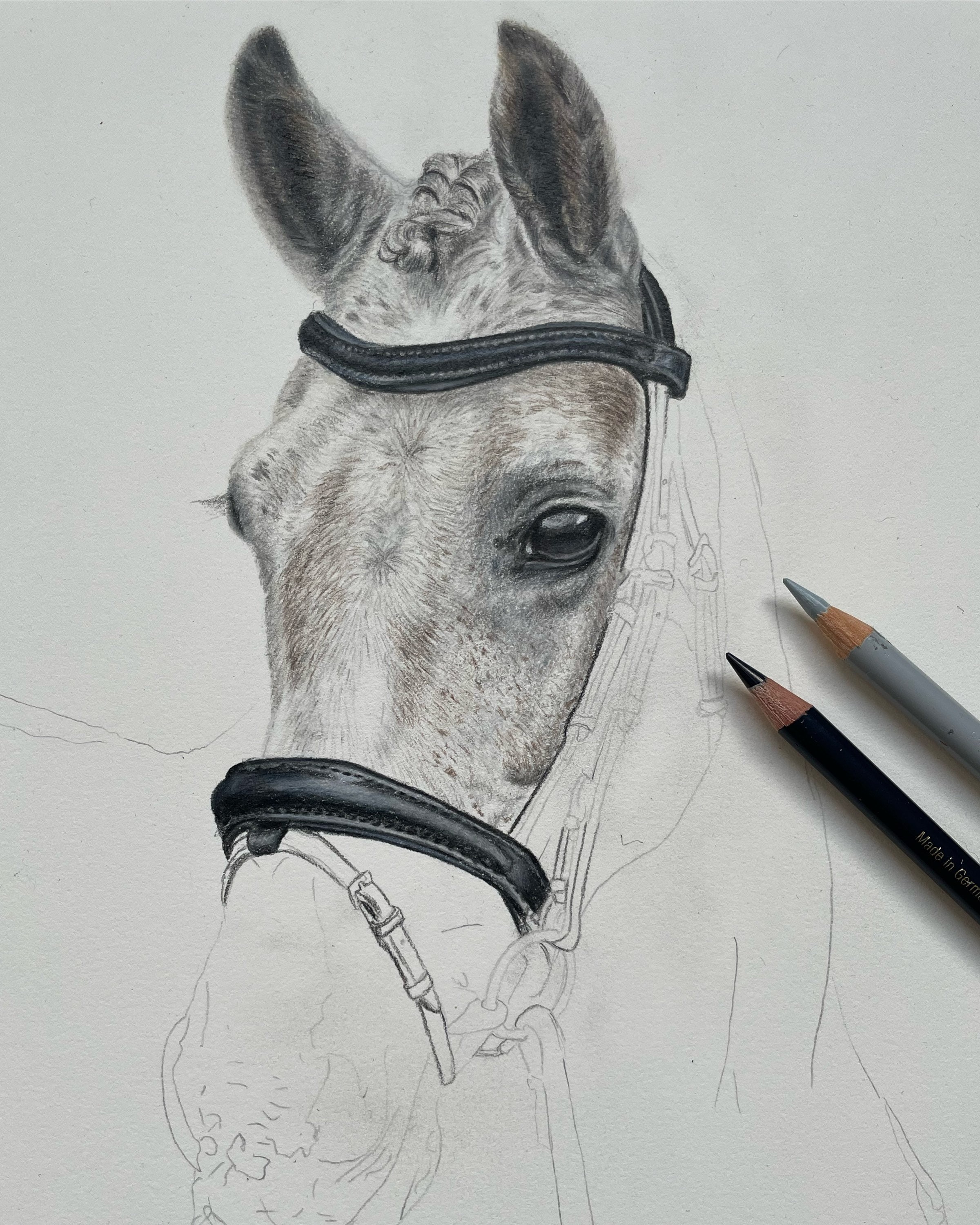 Custom Horse Portrait, Realistic Art, Custom Equine Artwork ...