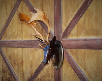 Antique Wooden Shield - Etsy