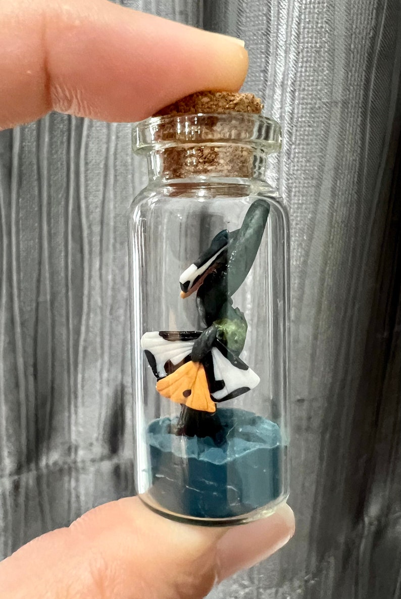 Miniature Moth Terrarium Clymene Moths - Etsy