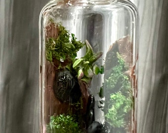 Unique Terrarium - Etsy
