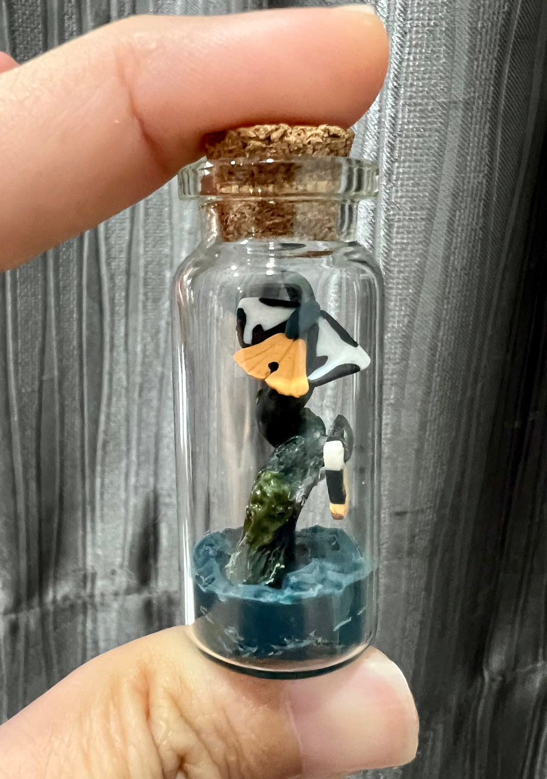 Miniature Moth Terrarium - Clymene Moths - Etsy