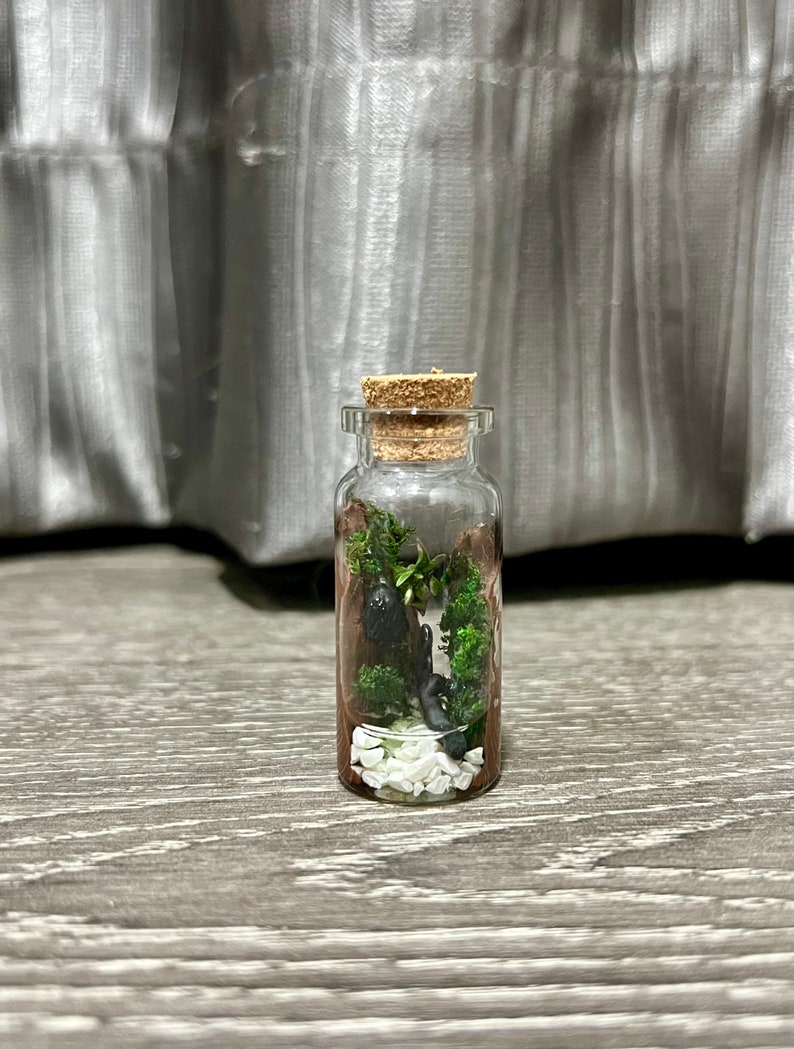 Miniature Rainforest Terrarium/paludarium in a Glass Bottle - Etsy