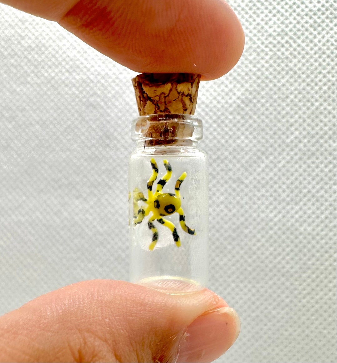 Blue Ringed Octopus Specimen Miniature - Etsy