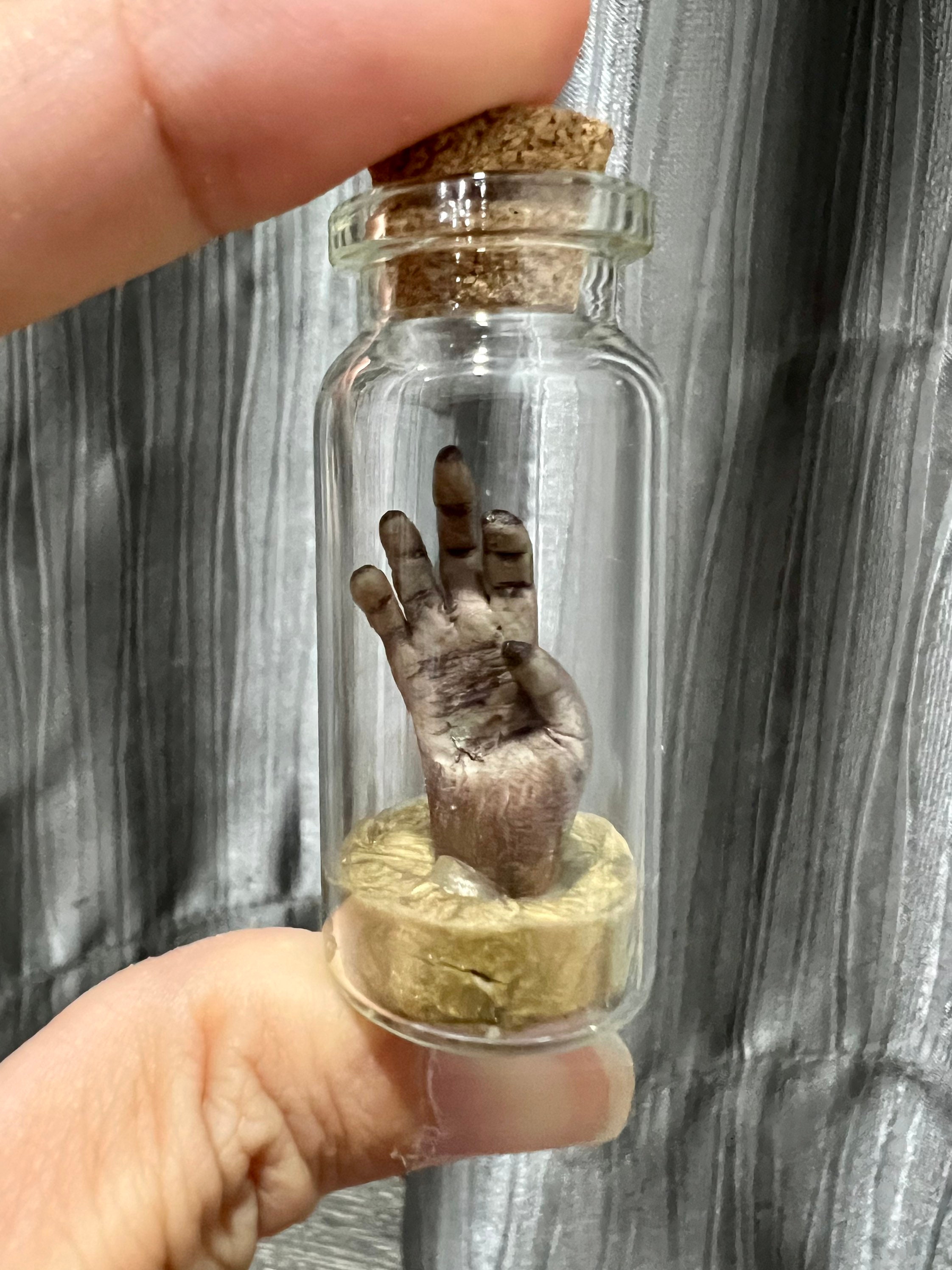 Cursed Monkey’s Paw - Miniature Monkey’s Paw Captured in a Tiny Glass ...