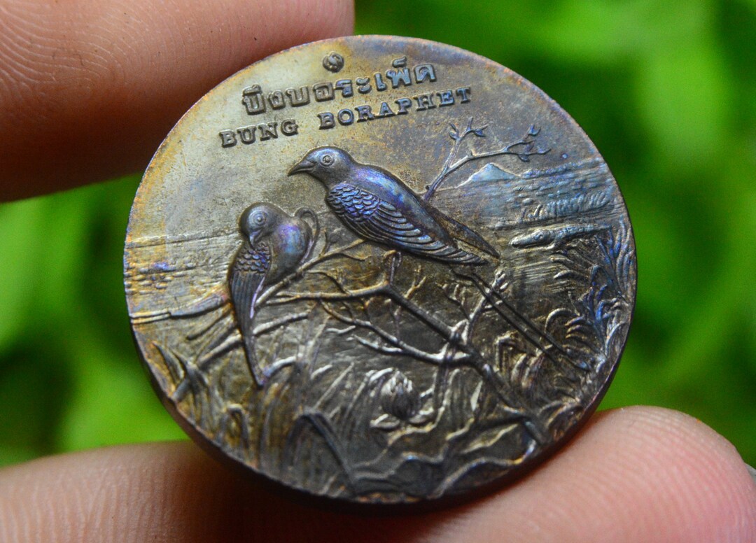 Thailand Tourism Medal Coin Amulet Thai Nakhon Sawan From - Etsy