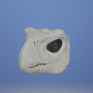Paint Your Own Dino Mask White Primer Coated - Etsy UK