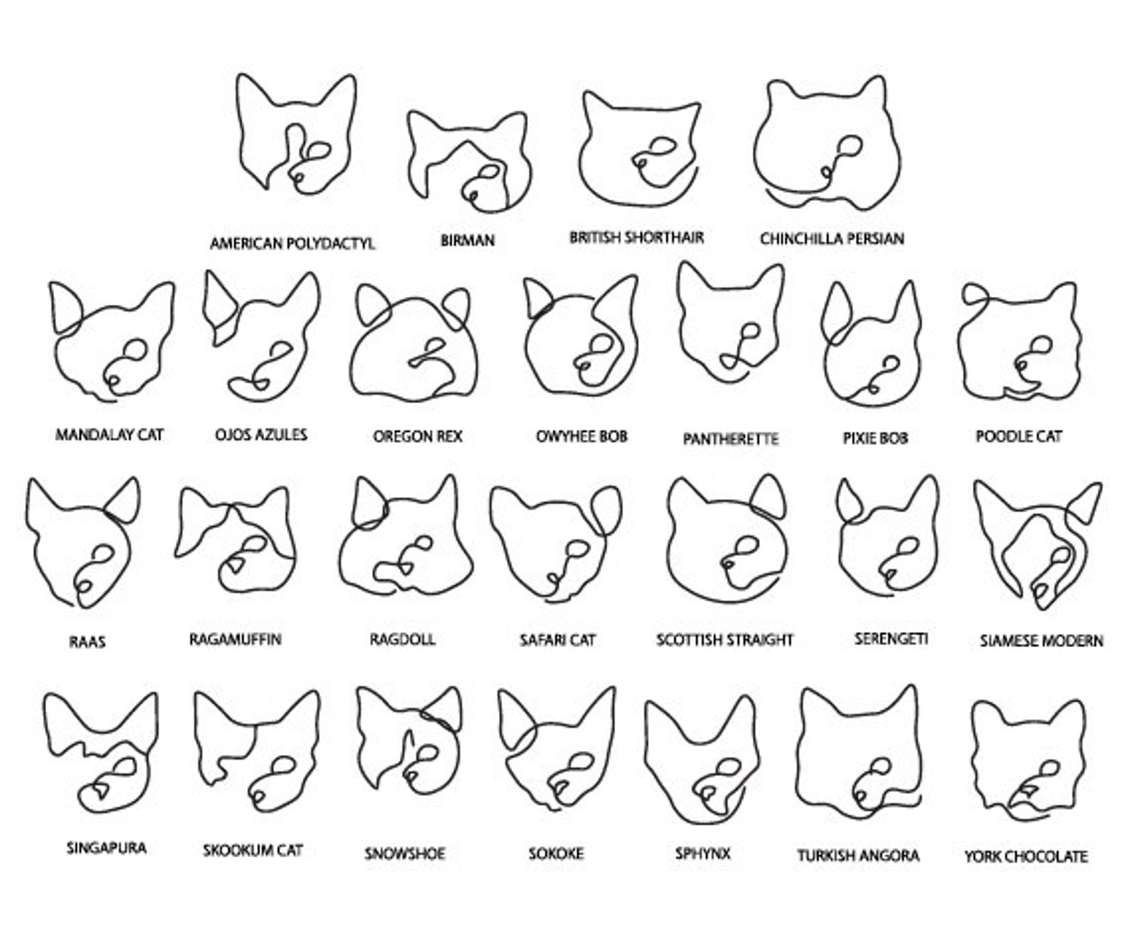 Cat Head Breed Line Art SVG Bundle Cat Face PNG Cute Kitten Outline Cat ...