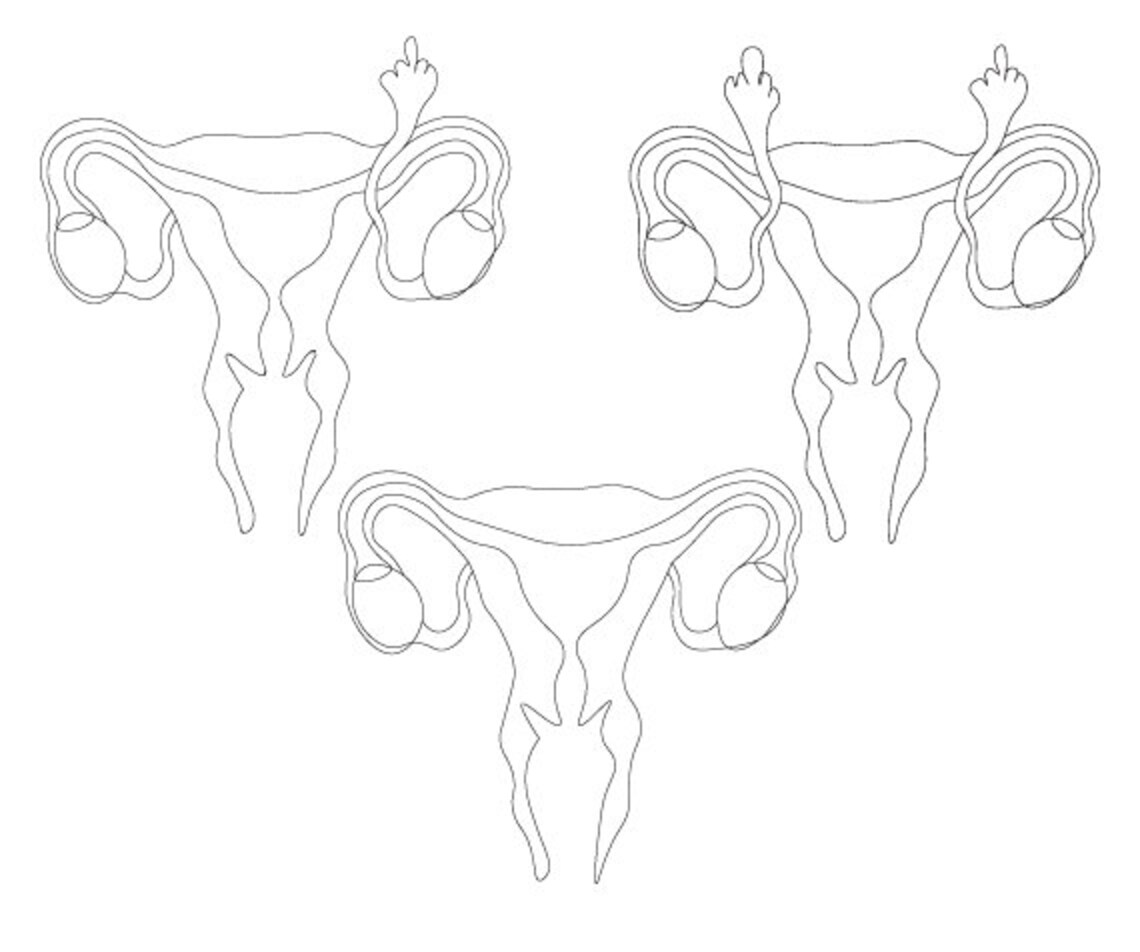 Uterus Line Art SVG Bundle Middle Finger Uterus SVG for Girls Feminist ...