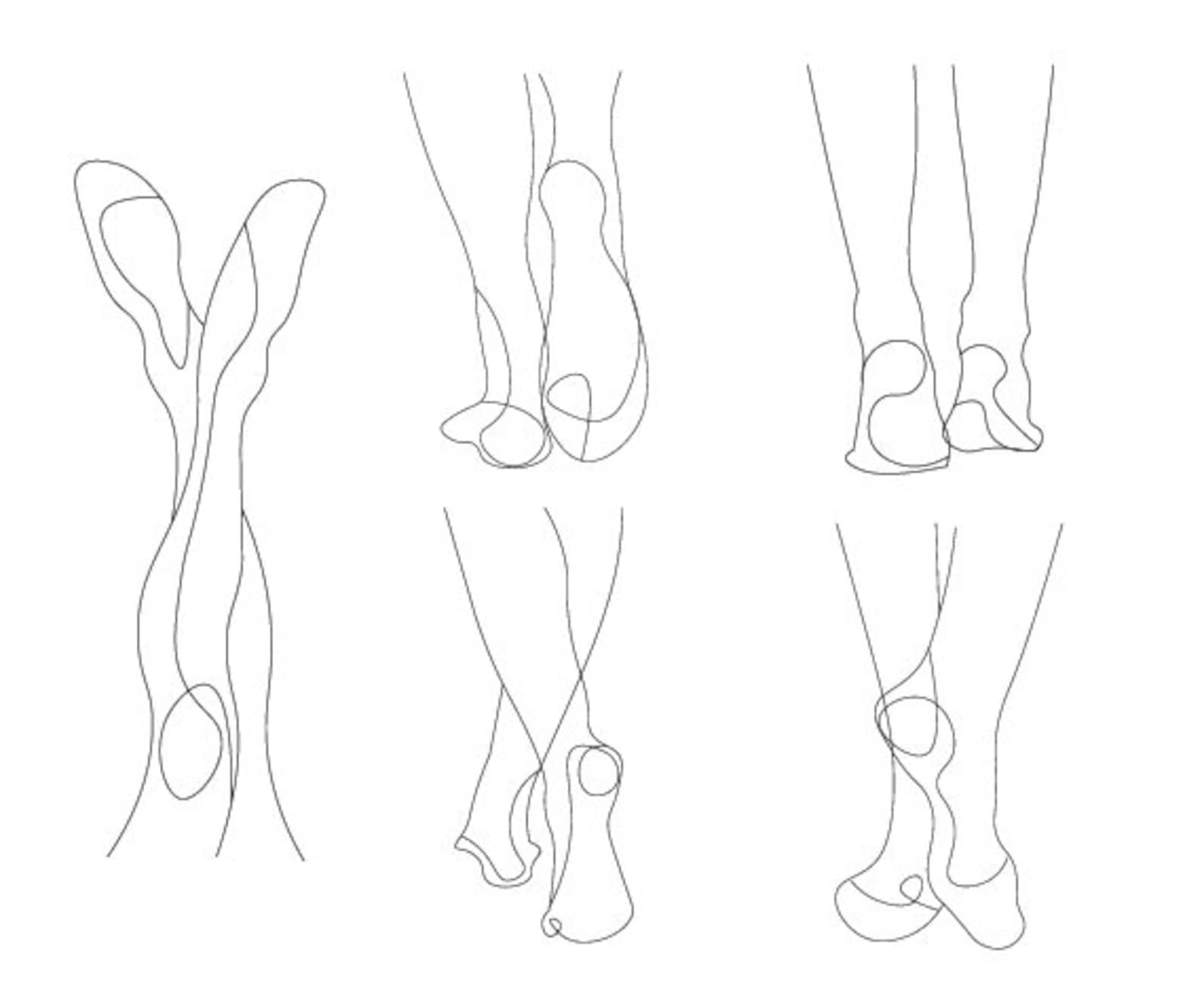 Feet Line Art SVG Bundle Leg Silhouette Cut File Foot Single Line ...