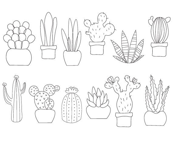Cactus Line Art SVG Bundle Hand Drawn Succulent Simple Doodle - Etsy
