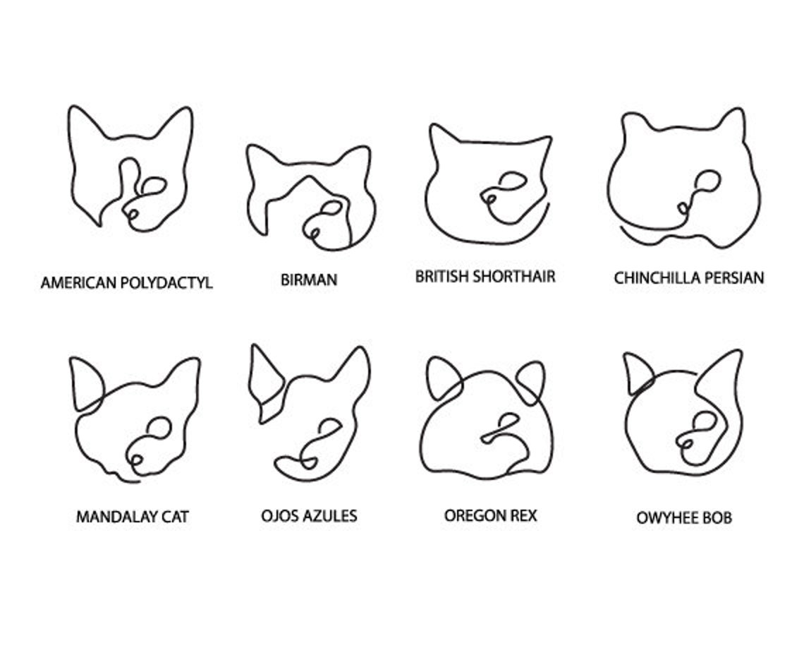 Cat Head Breed Line Art SVG Bundle Cat Face PNG Cute Kitten Outline Cat ...