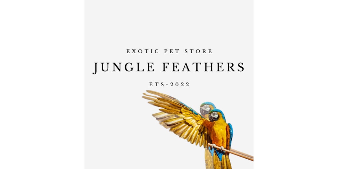 Custom Pet Shop Logo Template | Pet Boutique Design | Pet Sitting ...