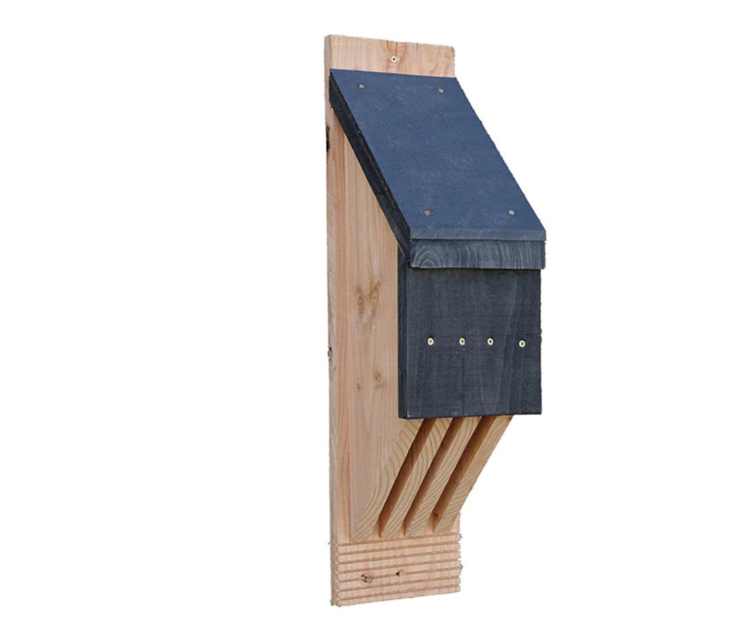 Vincent Pro Bat Box . - Etsy