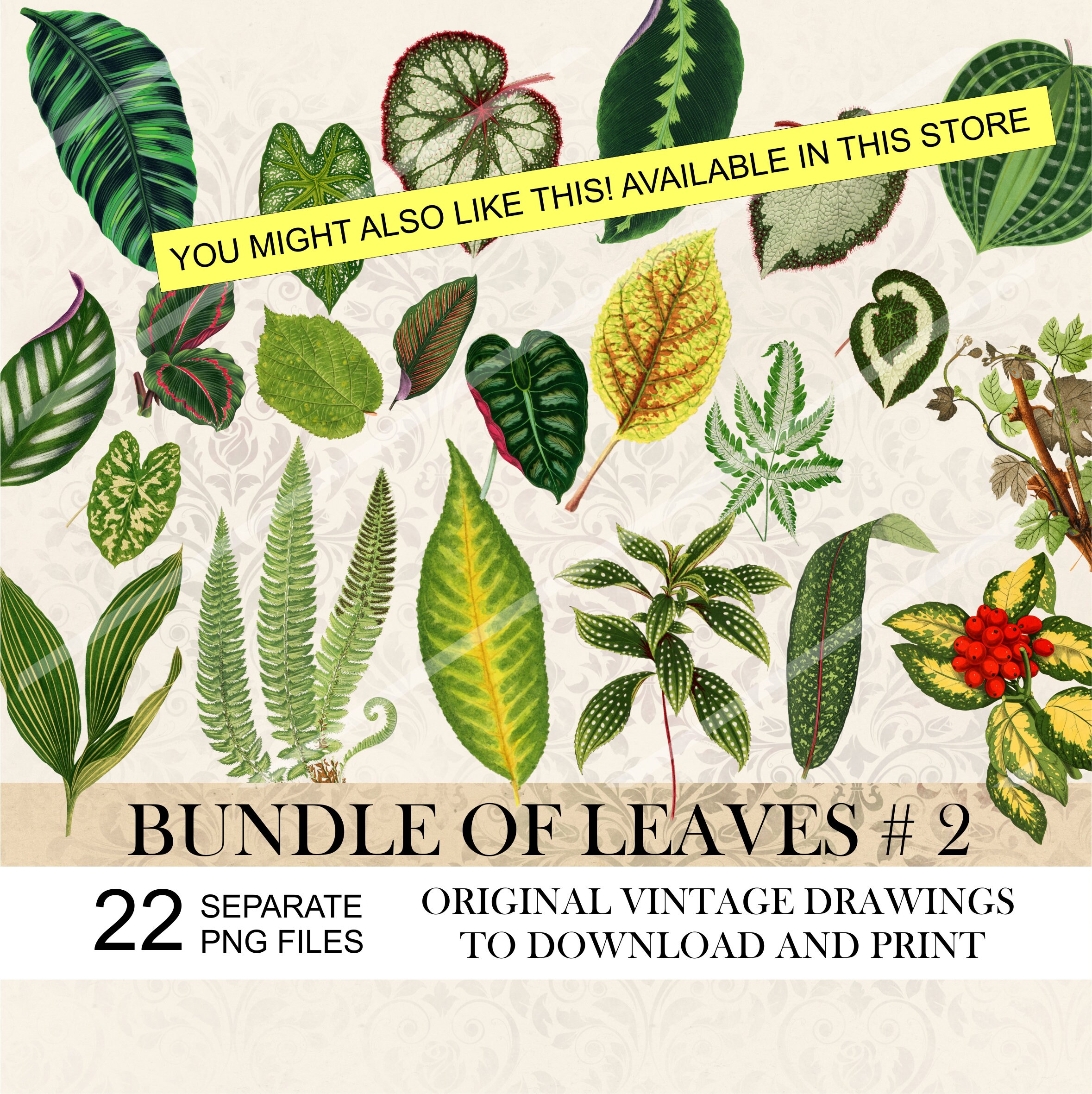 Antique Keys Illustration.vintage Victorian Keys.printable Scrapbook ...