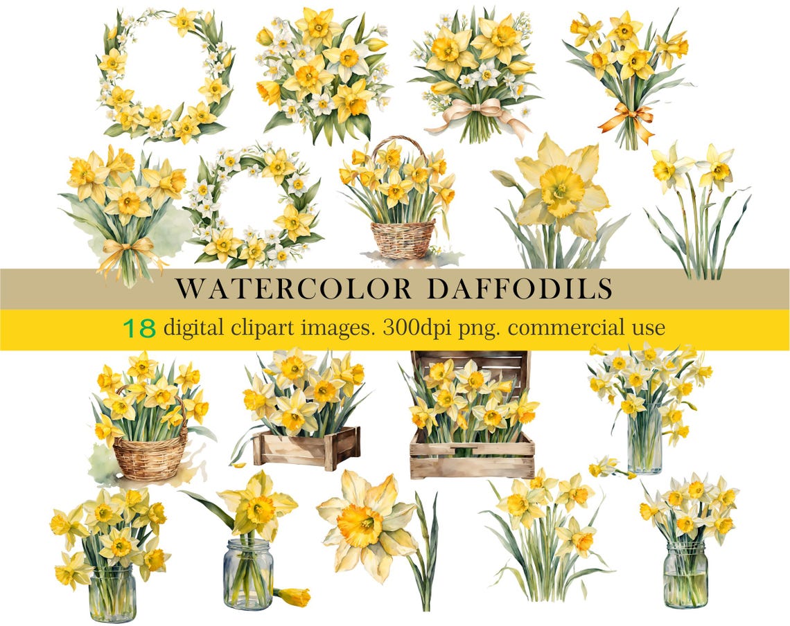 Watercolor Daffodil Clipart Bundle. 18 PNG Floral Graphics. Yellow ...