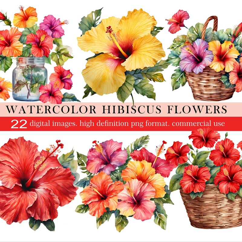 Watercolor Hibiscus - Etsy