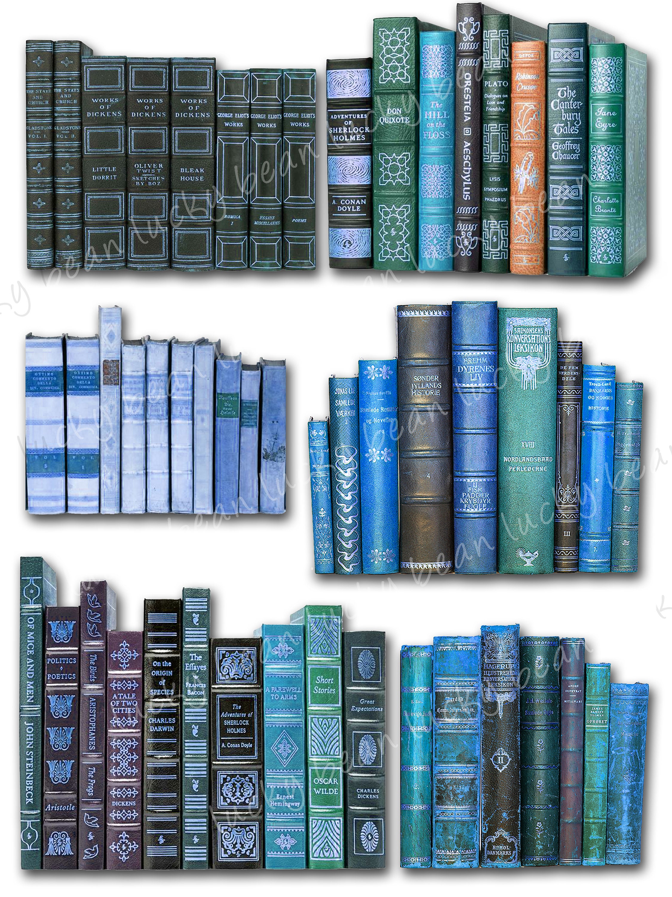 Antique Book Spines.ornate Vintage Books.old Fashion - Etsy