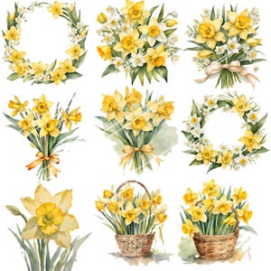 Watercolor Daffodil Clipart Bundle. 18 PNG Floral Graphics. Yellow ...