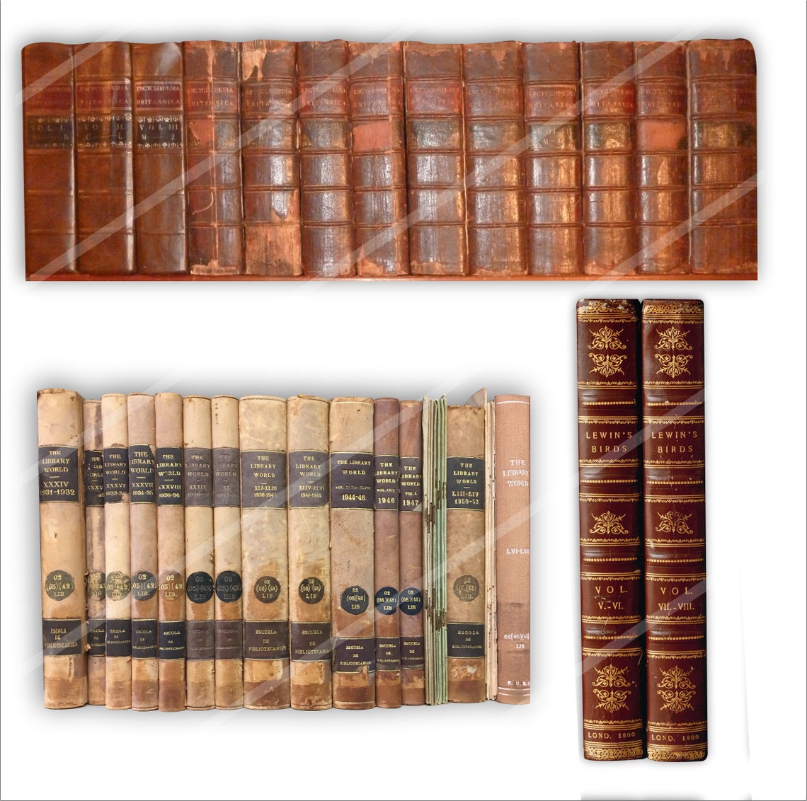 Antique Book Spines.ornate Book Cover.old Book,book Wallpaper.book ...