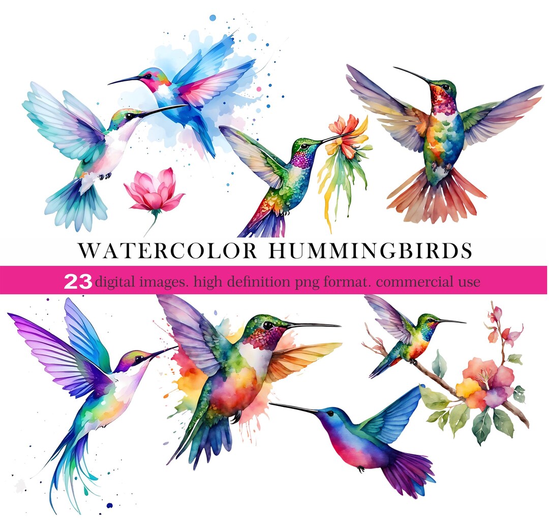 Watercolor Hummingbird Clipart Bundle.watercolor Hummingbird ...