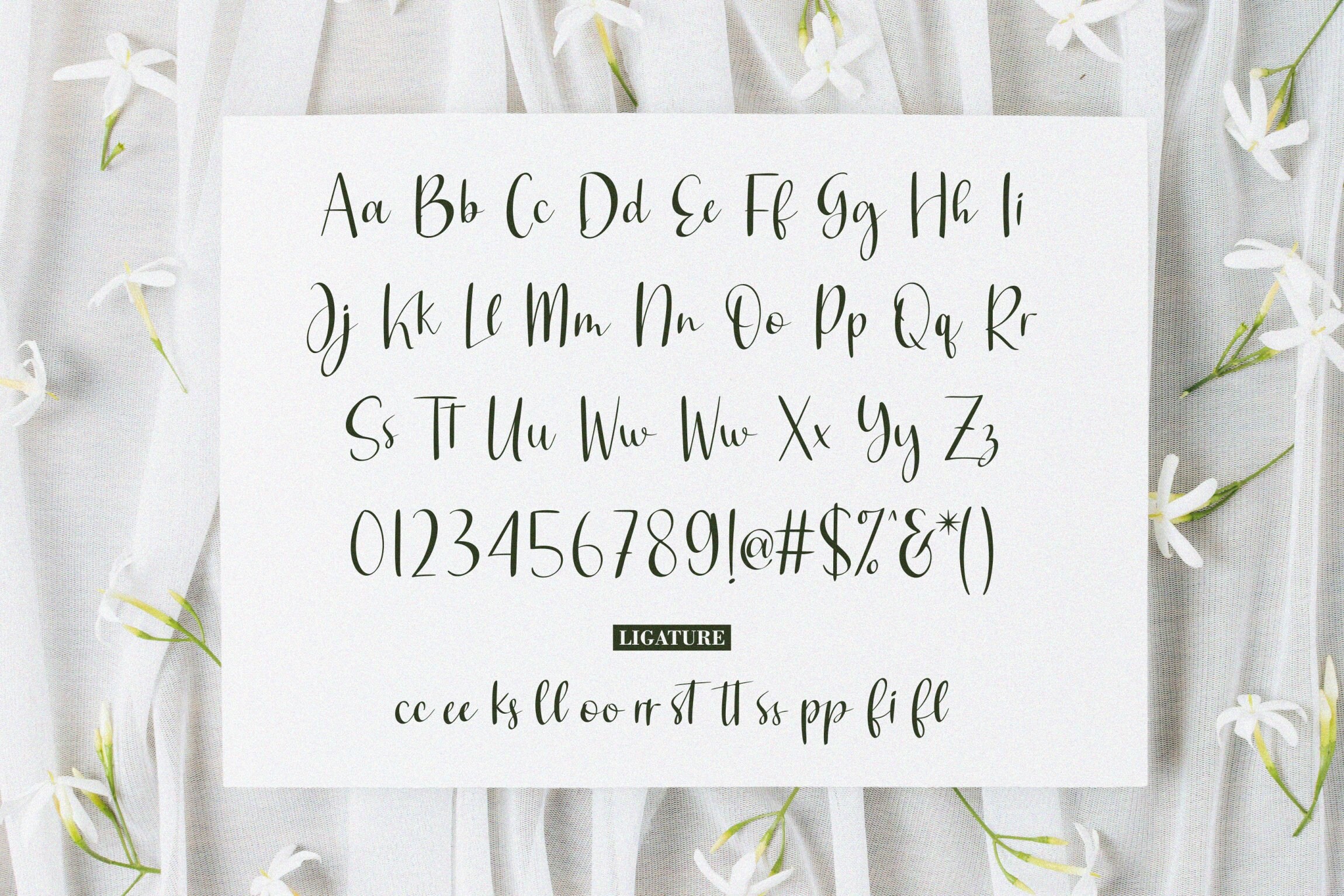 Beautiful Script Font Crafting Font Calligraphy Font Fonts - Etsy