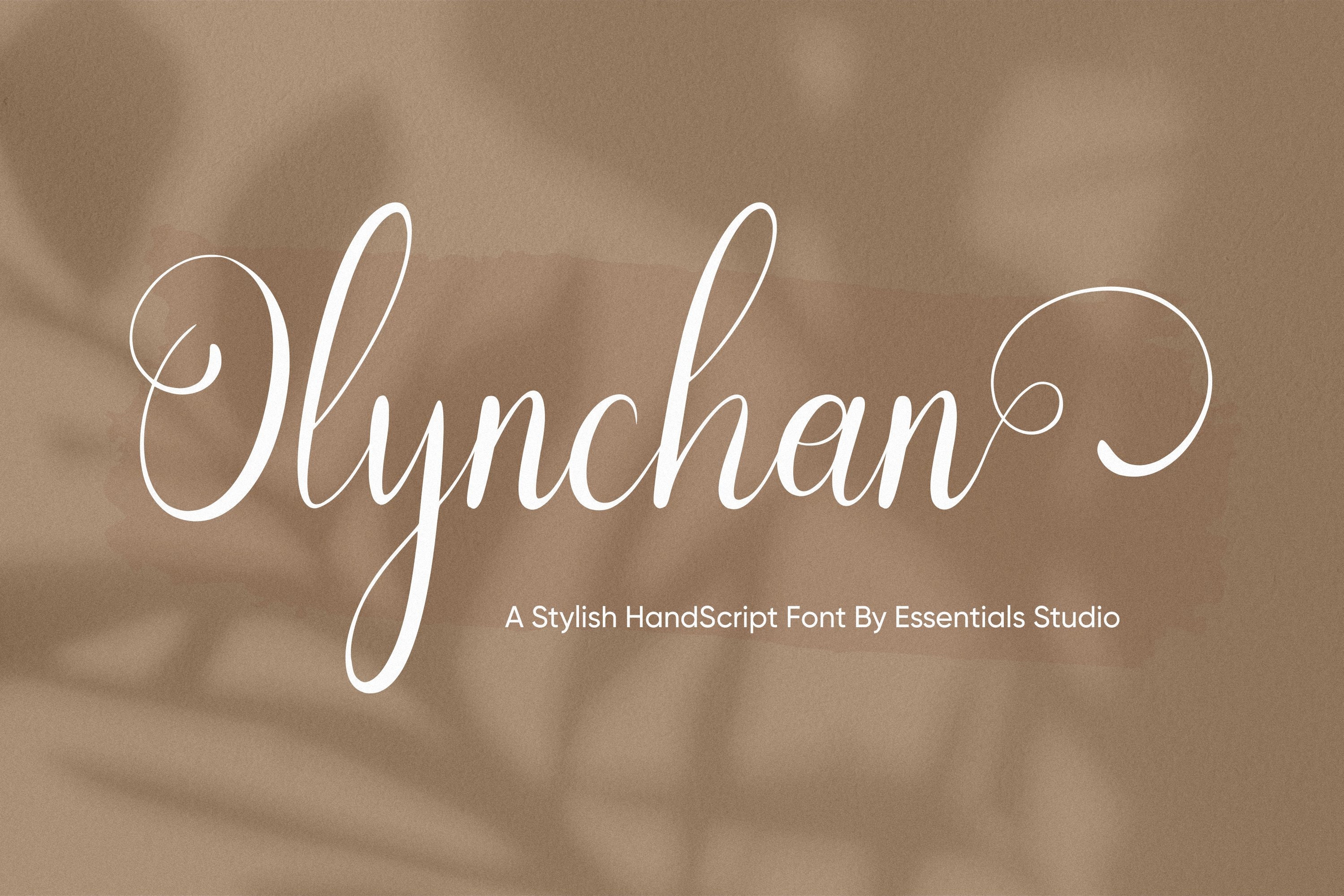 Olynchan Modern Script Font,calligrpahy Font, Font With Tails, Cursive ...